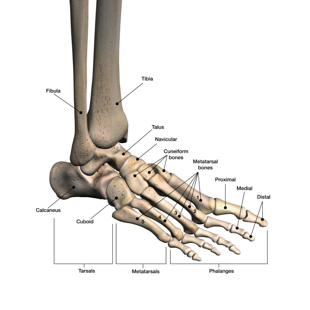 Mobile Ankle And Foot Physical Therapy In Scottsdale AZ